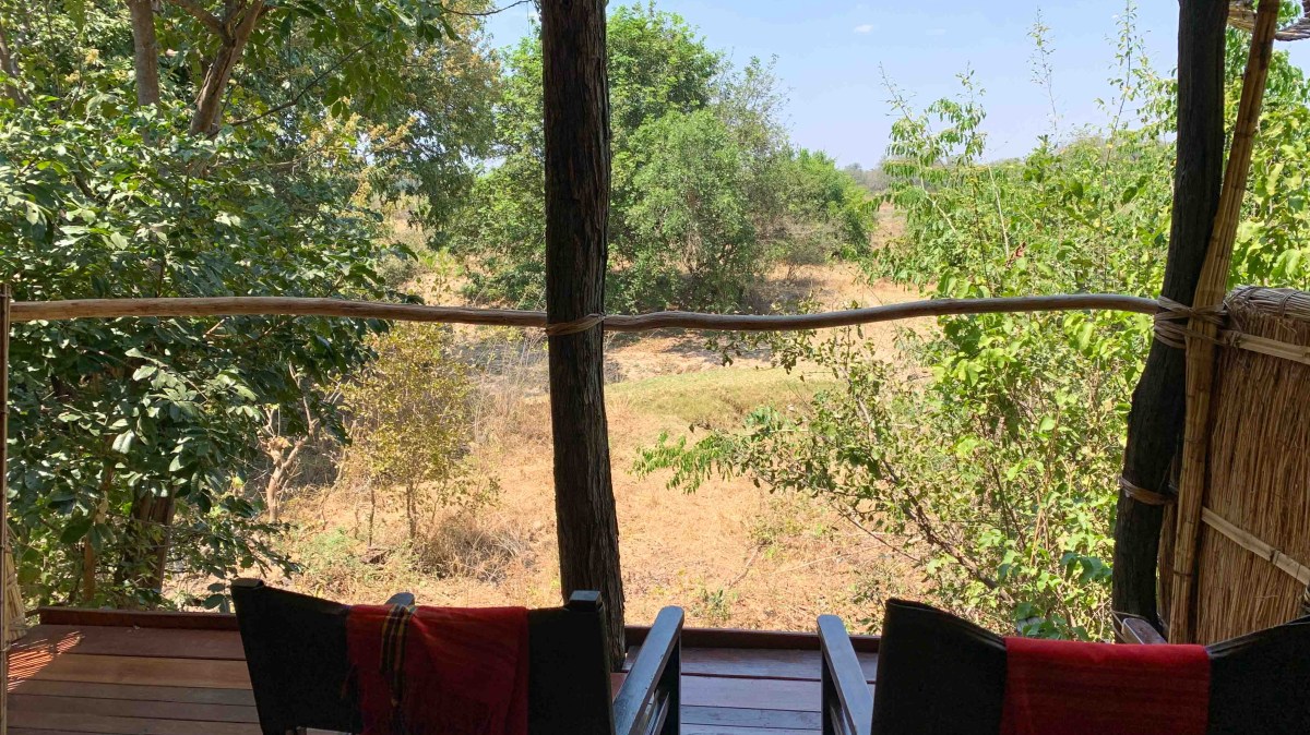 Trek to Chikoko Tree Camp – Sail the Leviathan